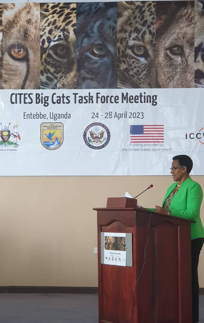 SAVE THE BIG CATS – PS KATUSIIME - Uganda Wildlife Authority