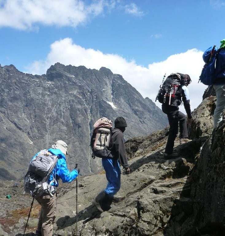 Uganda Wildlife Authority - UWA