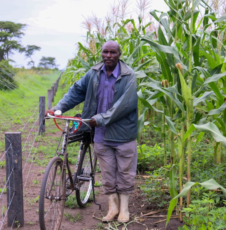 Electric Fencing in Queen Elizabeth Conservation Area Strengthens ...